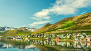 Island Tiere Überblick: Für diese Tiere ist Island bekannt (mit Bildern)